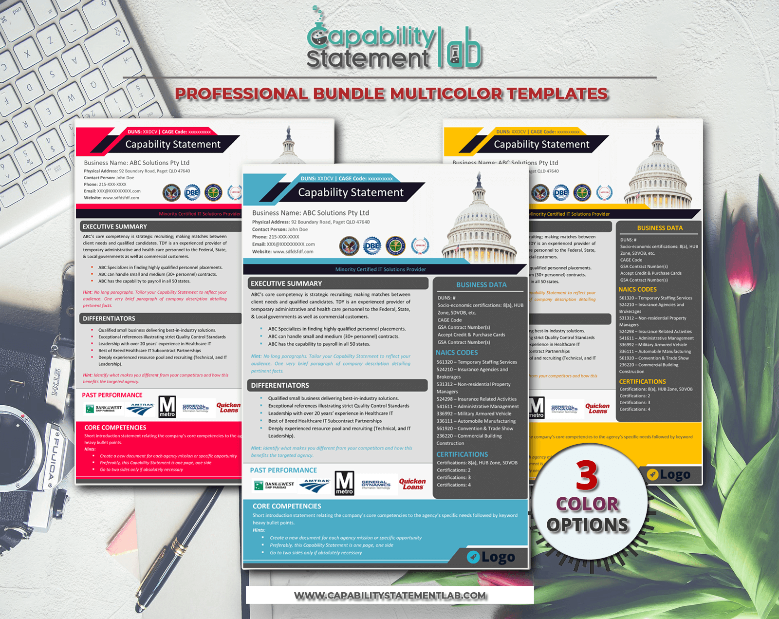 Business Capability Statement Template Government Corporate